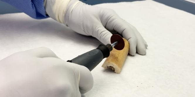 Cold Case Solving: How Othram is Revolutionizing Forensic Science