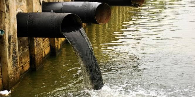 What is an Environmental Crime?